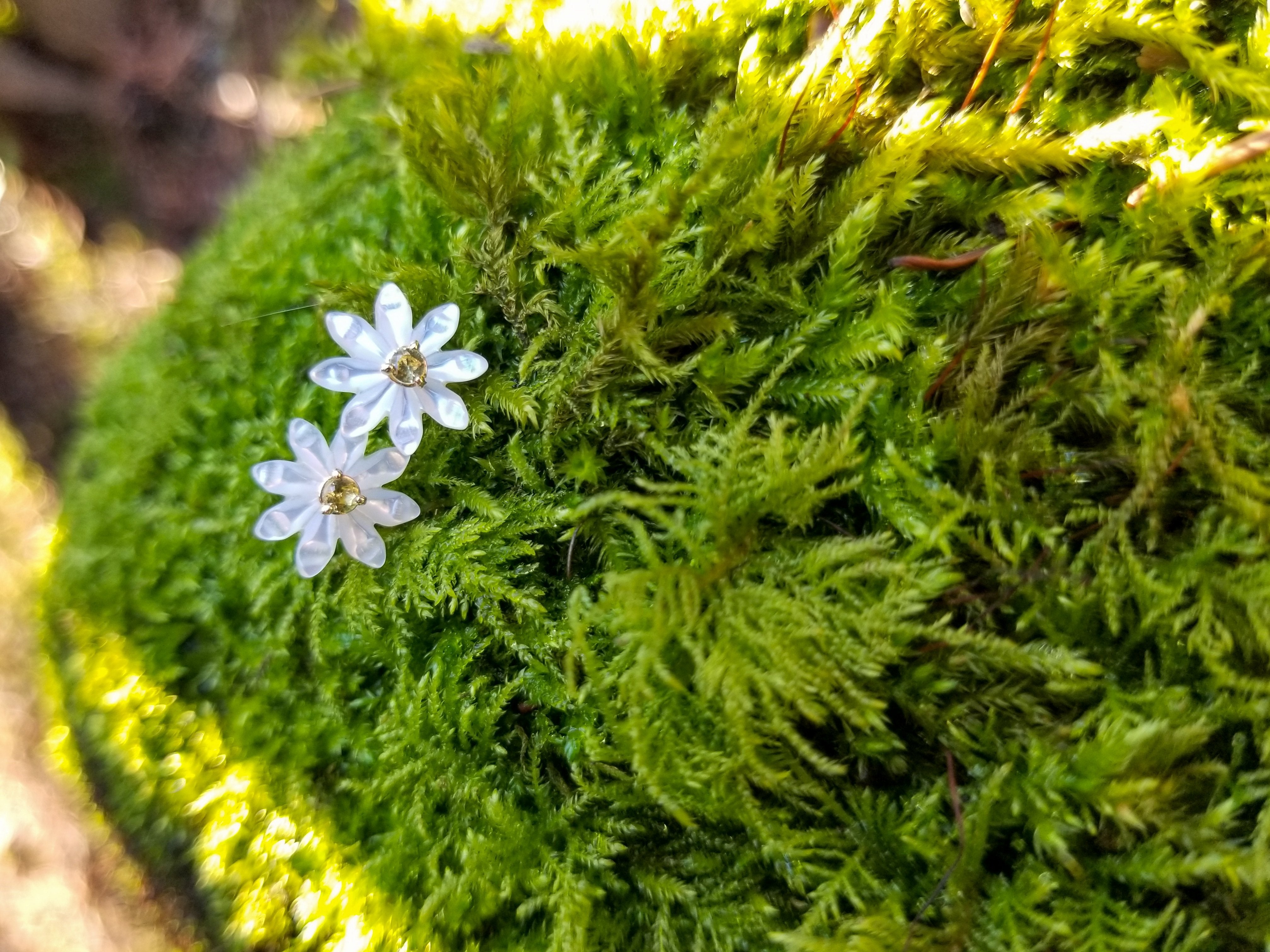 Blossoms – HeatherJ Studios