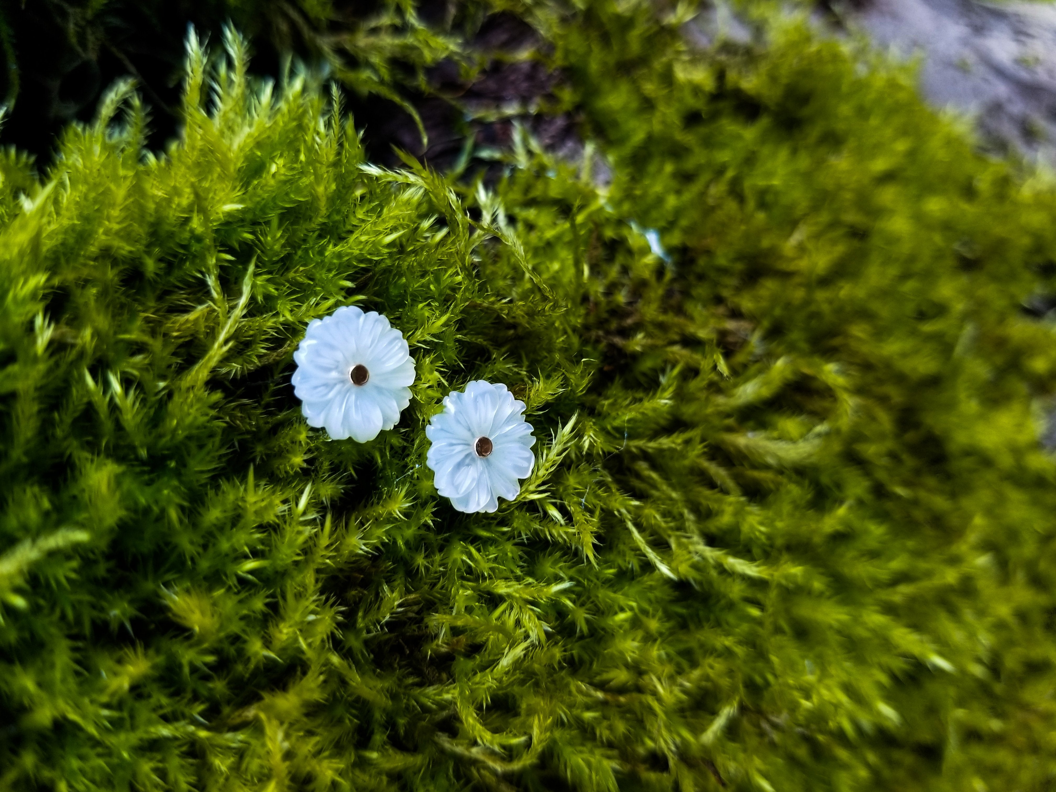 Blossoms – HeatherJ Studios